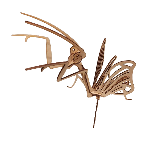 3D Wooden Praying Mantis Puzzle – Strung Over Creations