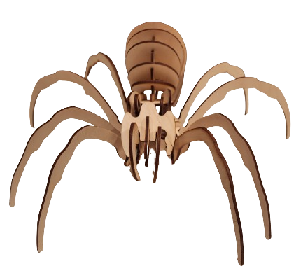 3D Wooden Spider Puzzle – Strung Over Creations